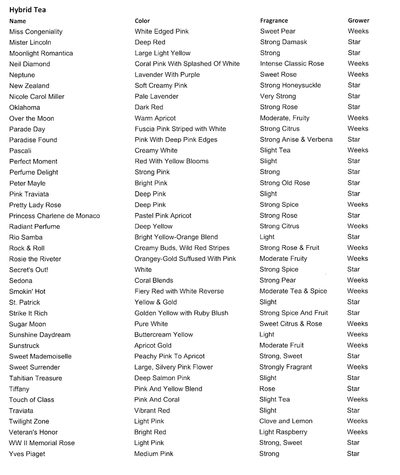 Roses - The Greenery Nursery
