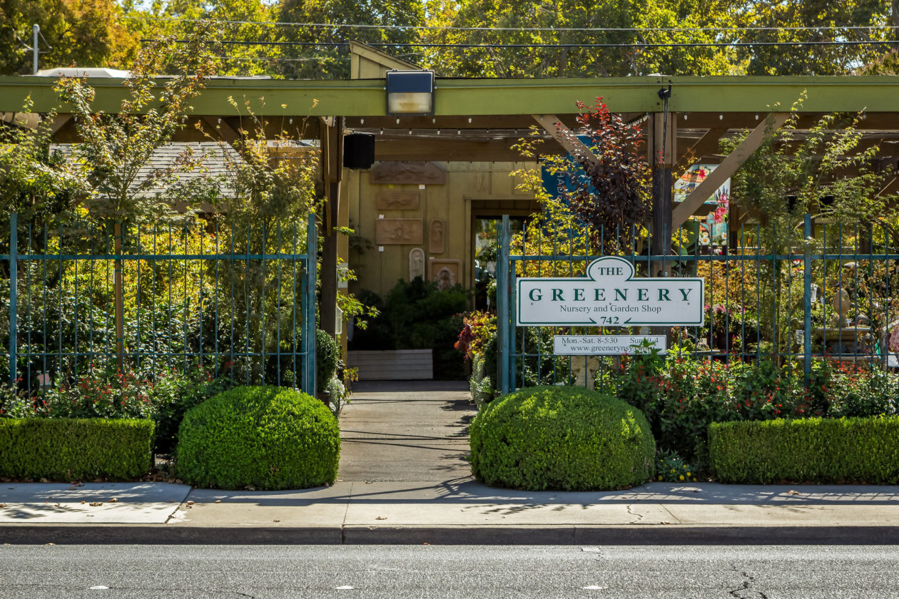 Home - The Greenery Nursery
