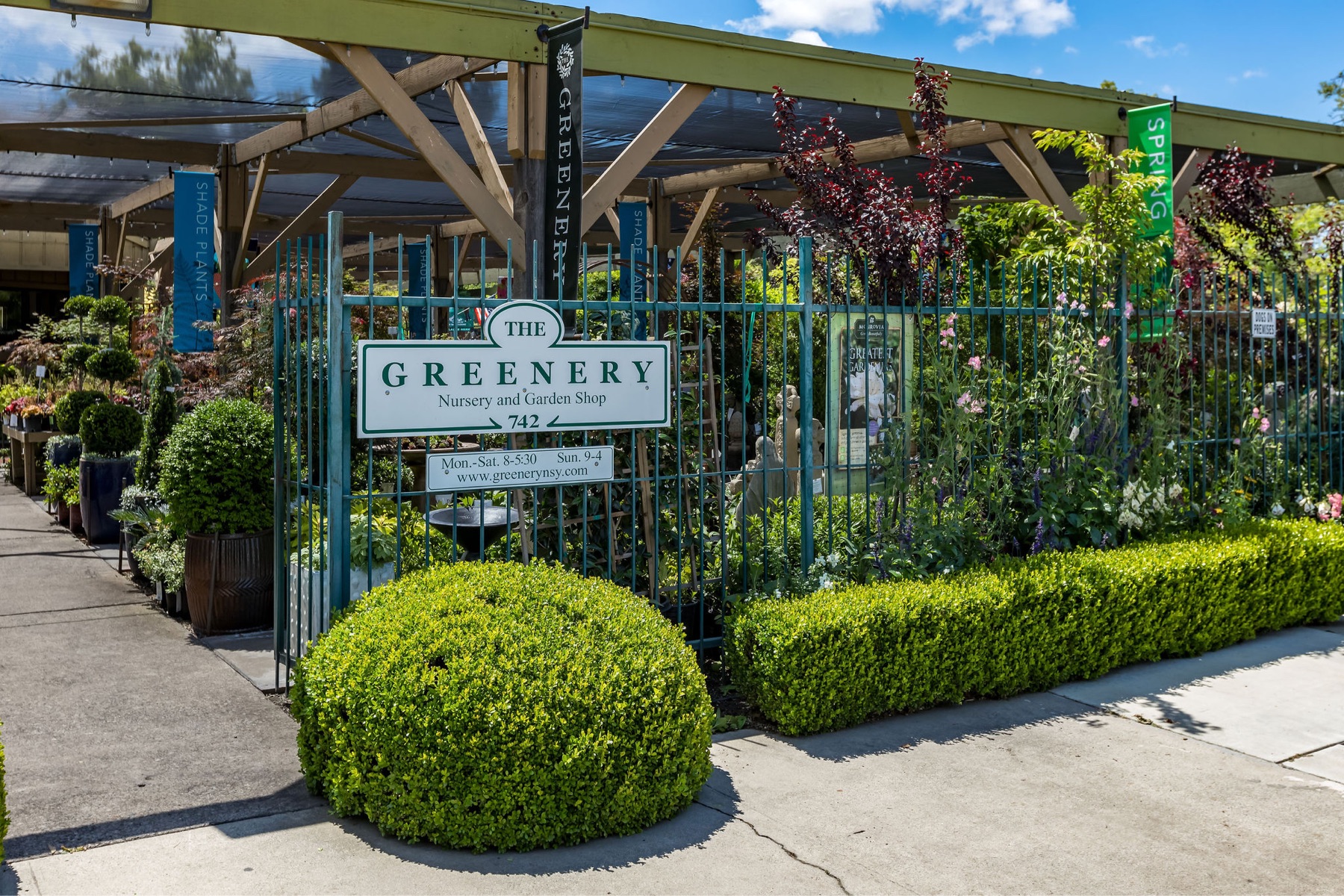 Home - The Greenery Nursery