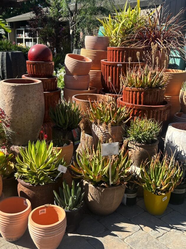 Home - The Greenery Nursery