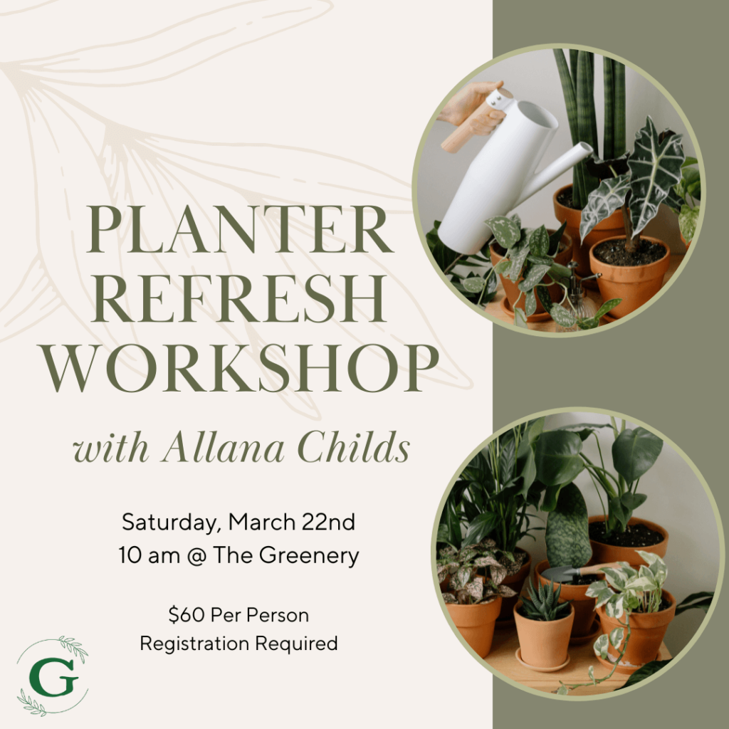 Events from March 8 – March 29 – The Greenery Nursery